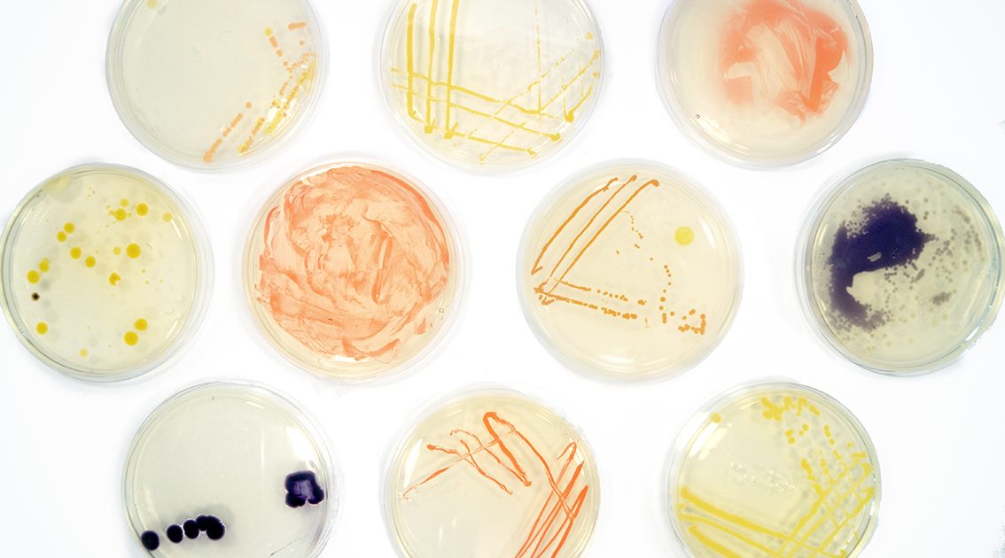 Growing Colors. Patterning with Living Pigments | YouFab Global ...